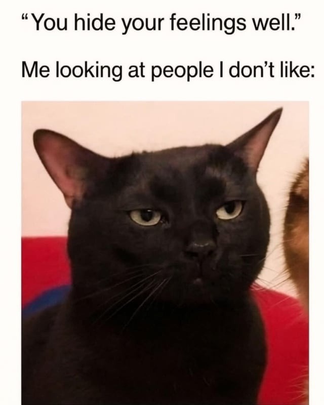 The best Feelings memes :) Memedroid