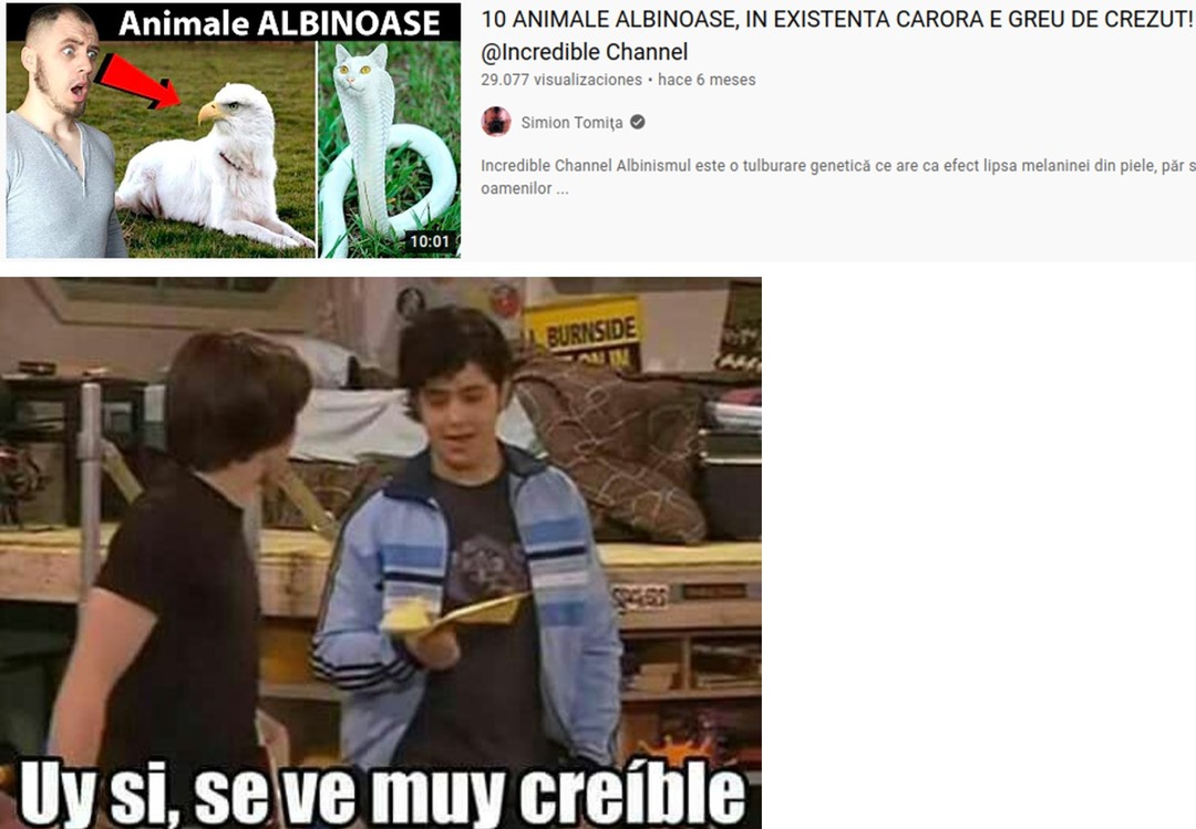 No lo se rick, parece falso - Meme by ComisaniROM :) Memedroid