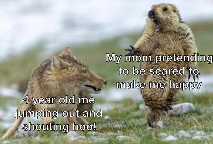 Wolf Groundhog Memes Groundhog Day Memes That Might Predict Your Mood