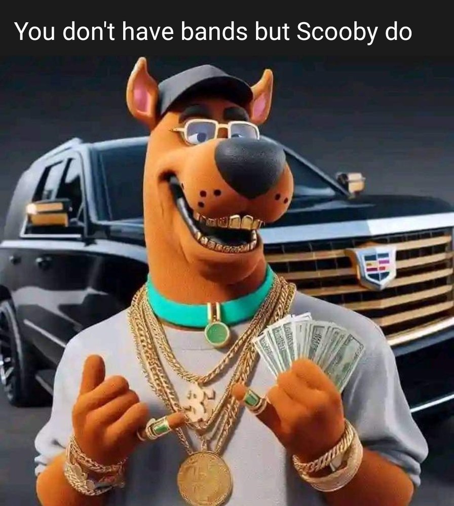 Latest memes / New memes :) Memedroid