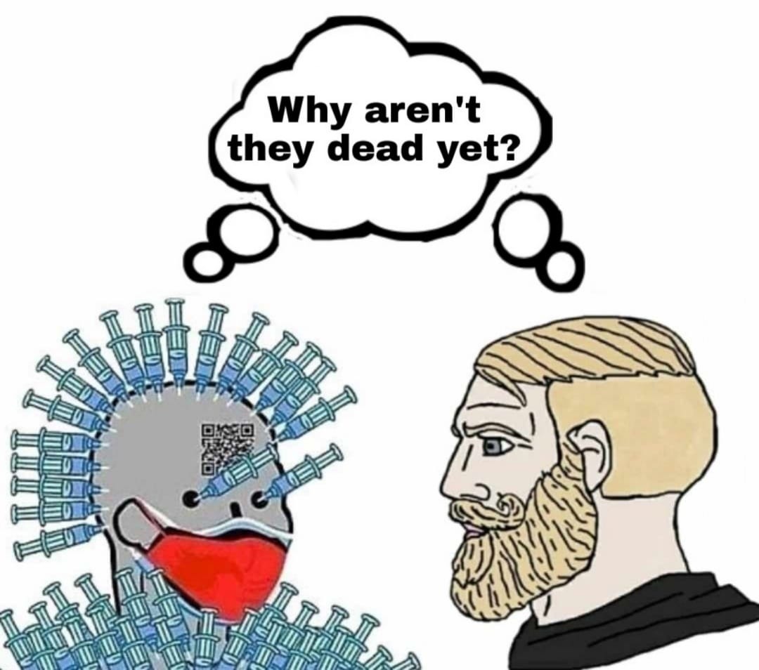 The Latest Memes :) Memedroid