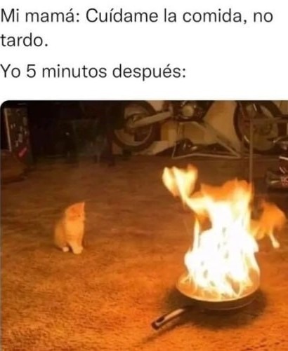 Top memes de Fuego en español :) Memedroid
