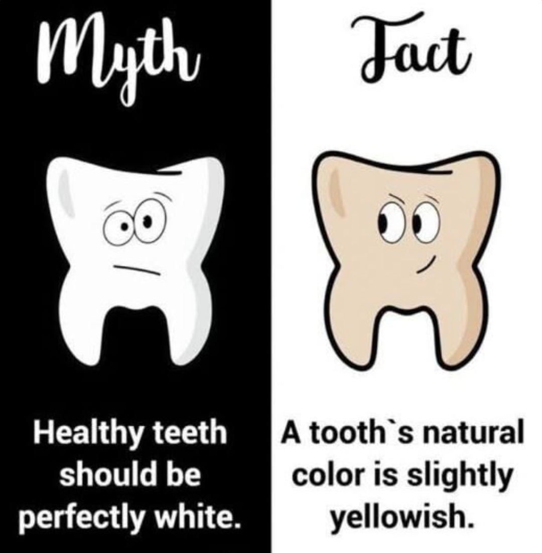 The best Teeth memes :) Memedroid