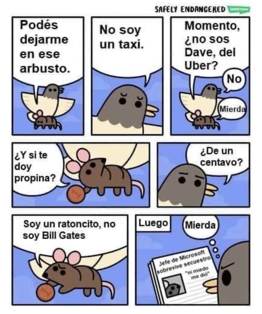 Top memes de Raton en español :) Memedroid