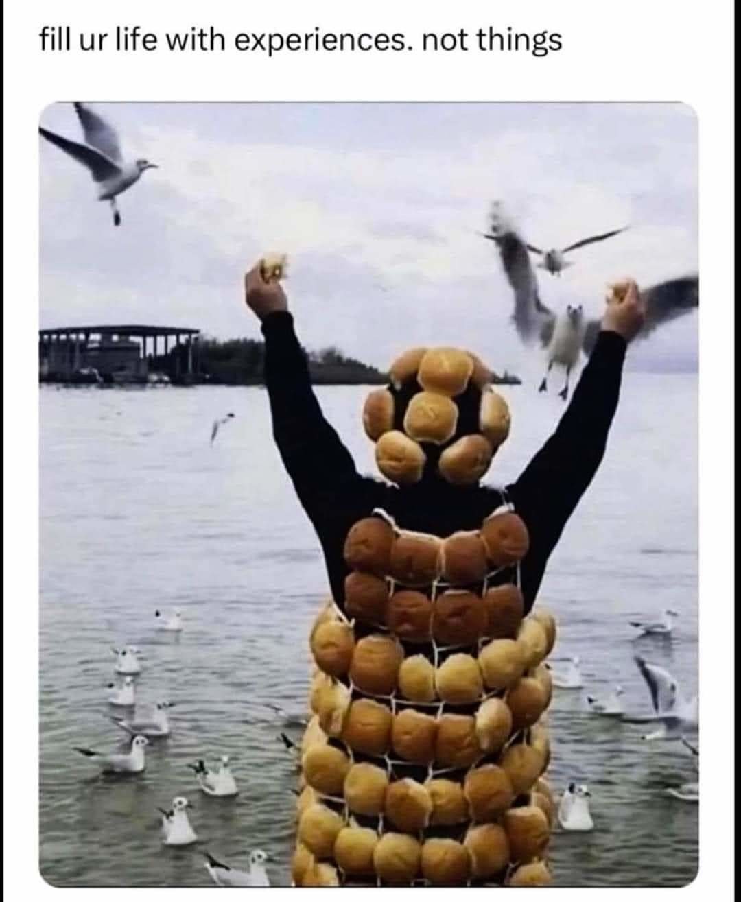 Latest memes / New memes :) Memedroid