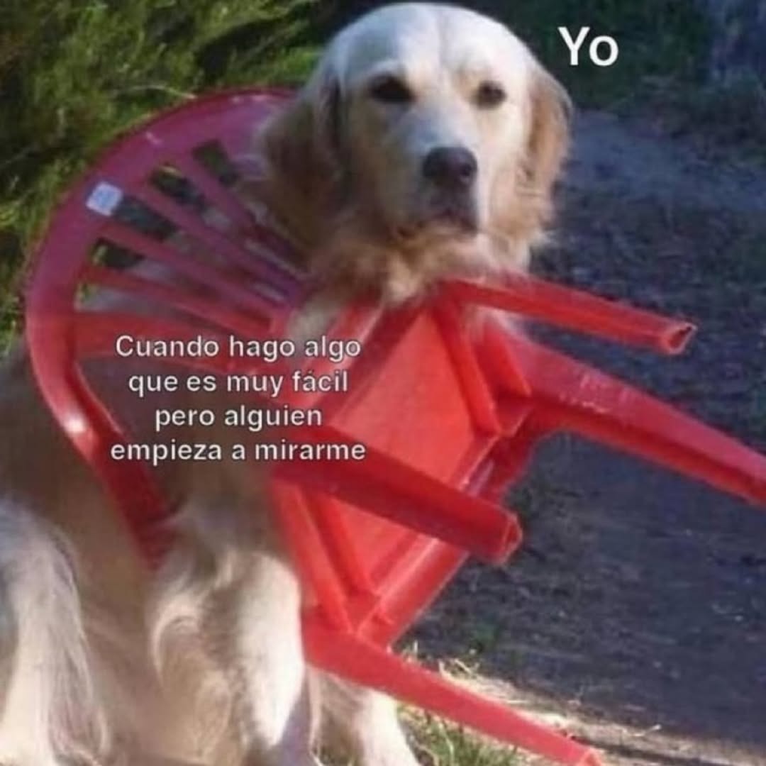 Top memes de Tareas Fáciles en español :) Memedroid