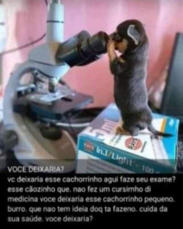 diagnostico: pardo sintomas: pardo - Meme by jorginho6423463433 ...