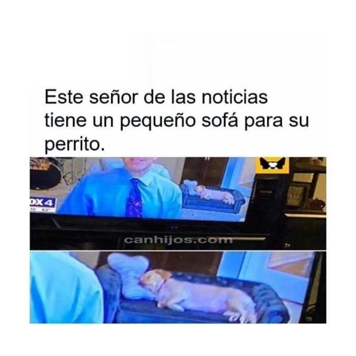 El perro bien tranquilo - Meme subido por inepter :) Memedroid