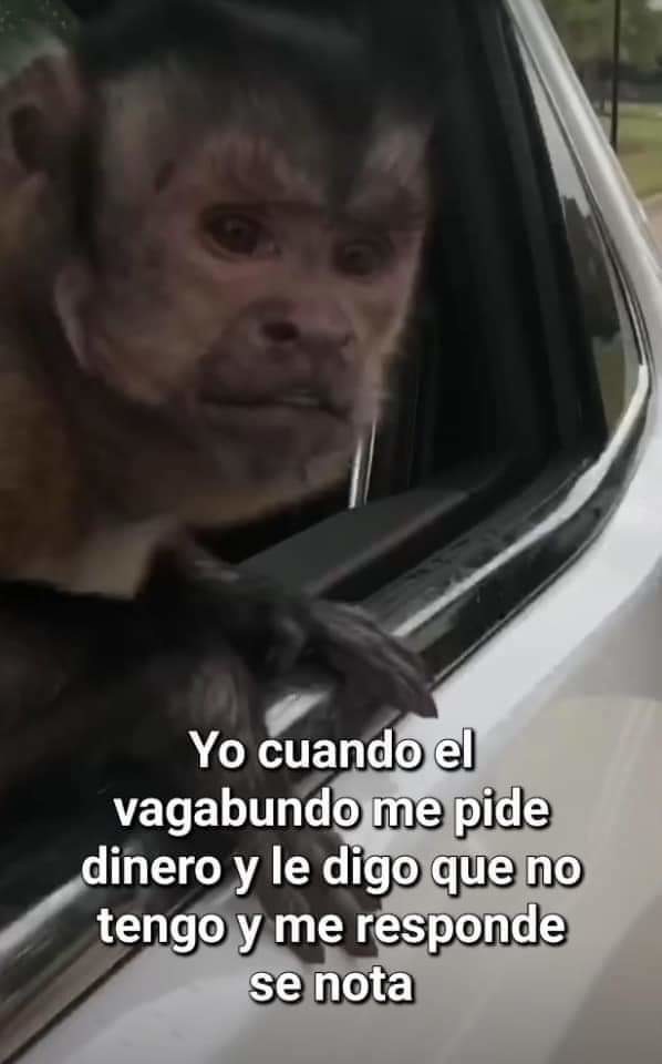 Top memes de Vagabundo en español :) Memedroid