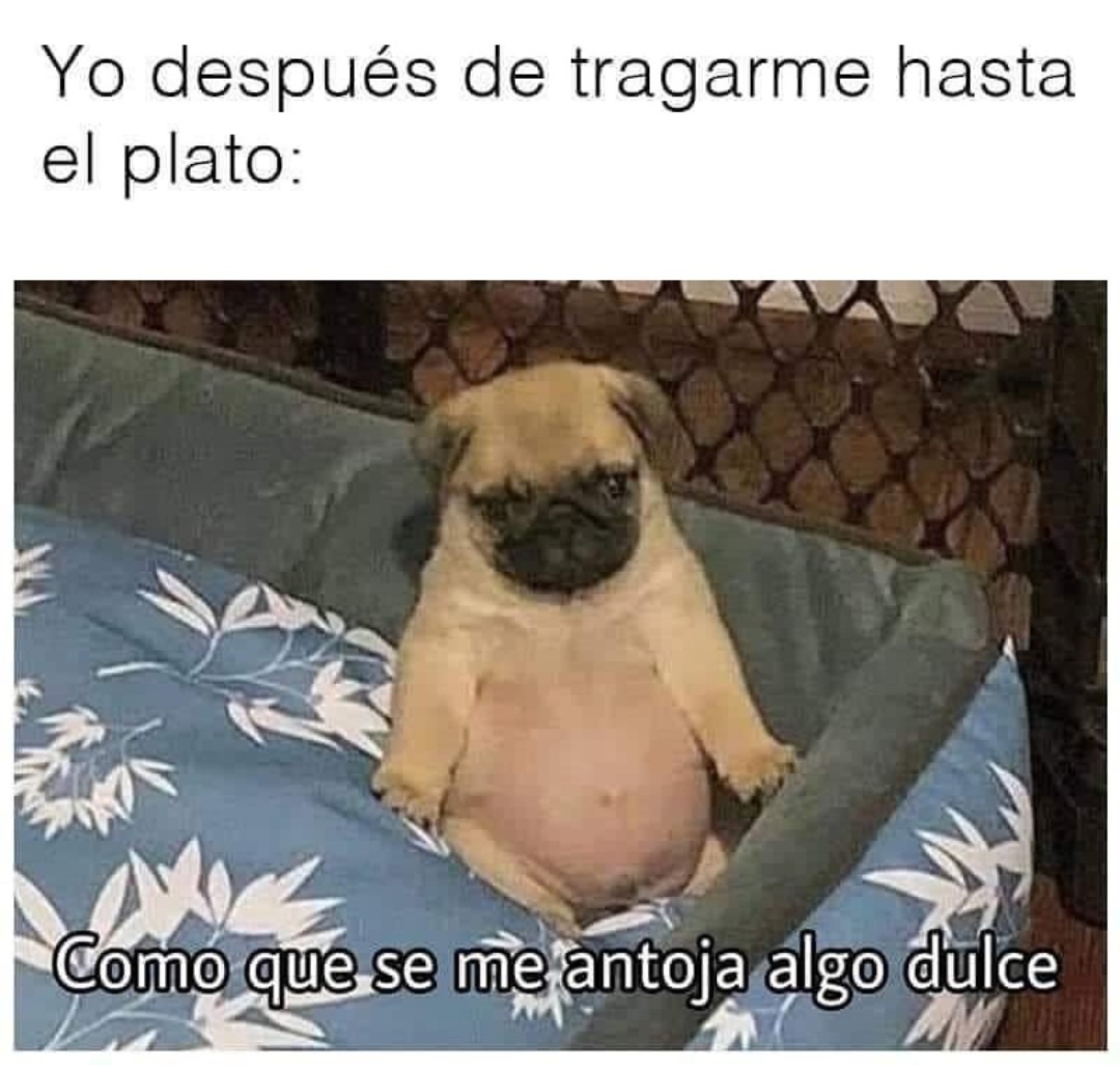 La neta si - Meme subido por Bite_Skull_Studios :) Memedroid