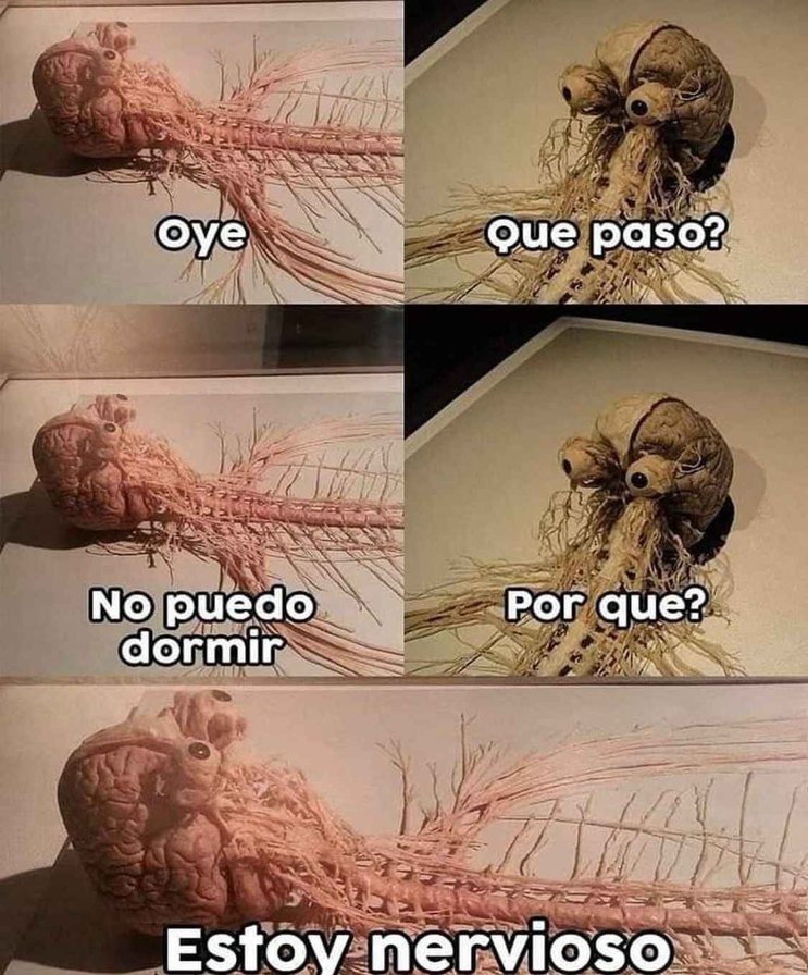 Top memes de Porbafor en español :) Memedroid