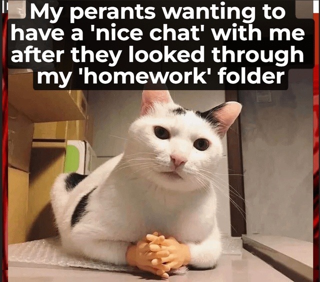 The best Homework memes :) Memedroid