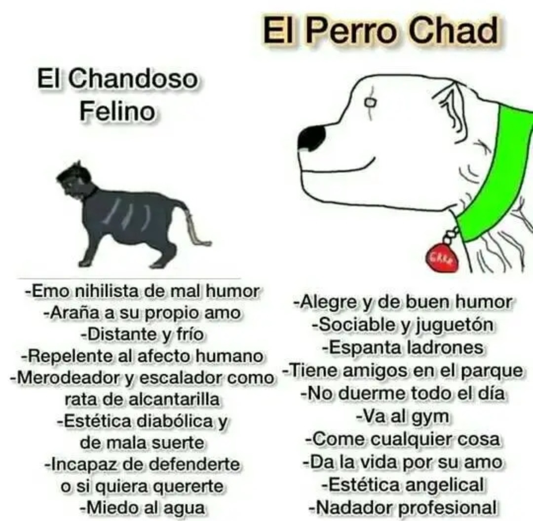 Si o que - Meme subido por LaDecpciondemicasa :) Memedroid