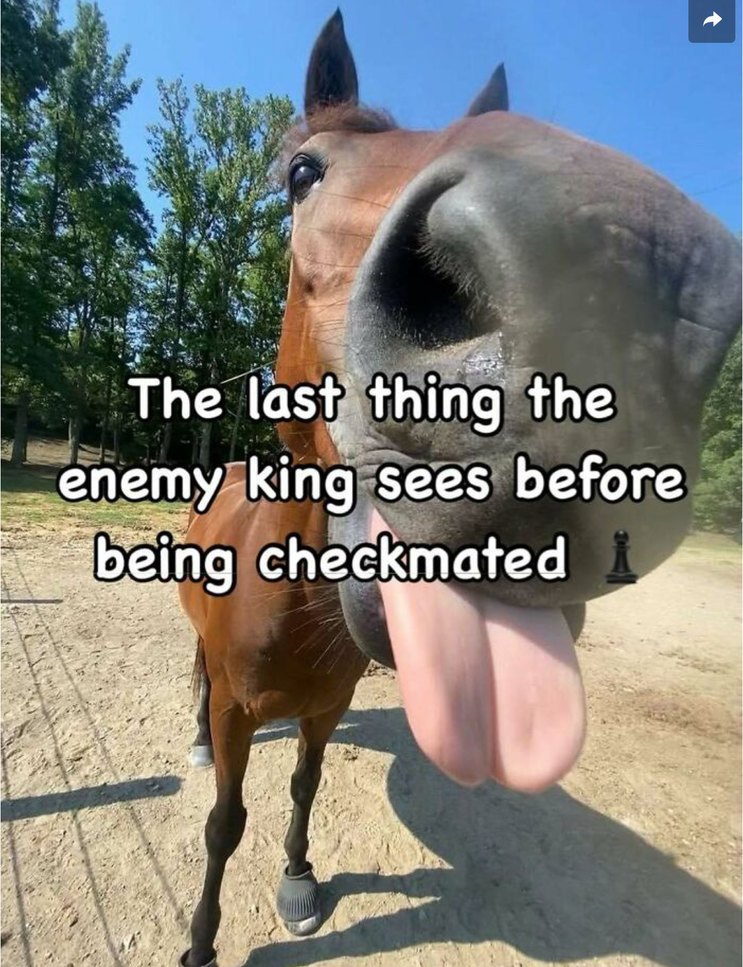 The best Checkmate memes :) Memedroid