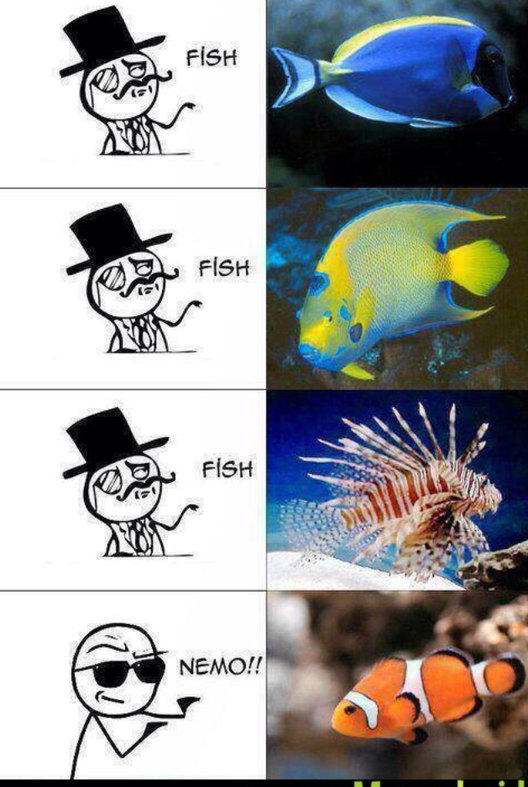 Nemo - Meme subido por hola187 :) Memedroid