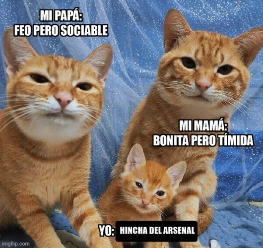 Los mejores memes del Arsenal en español