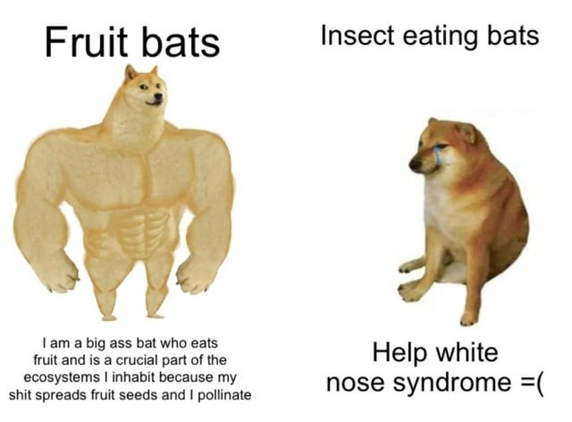 The best Environment memes :) Memedroid