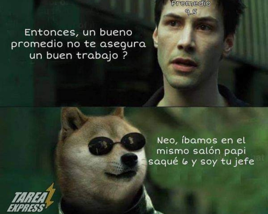 Los Últimos Memes :) Memedroid