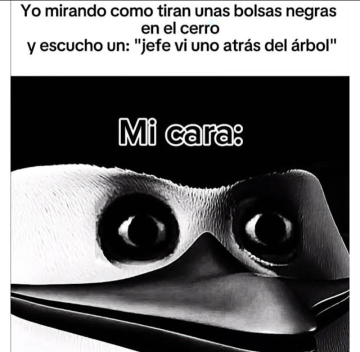 Como Un Jefe Gif Gafas De Píxel Negro Como Un Jefe Meme Mafia