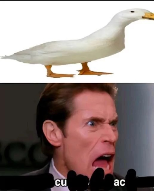 Los Últimos Memes :) Memedroid