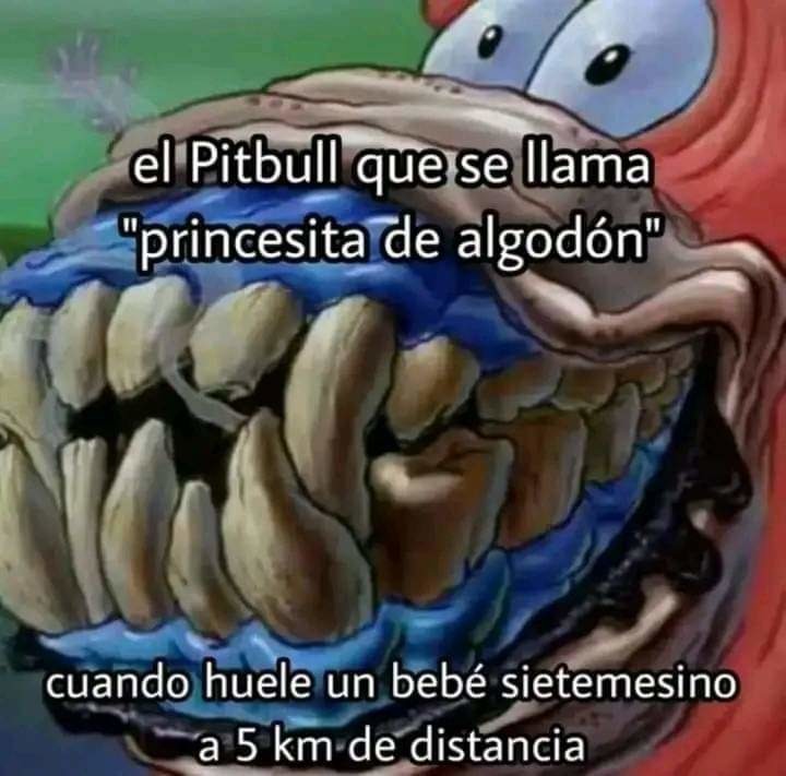 :00 - Meme subido por Magno-saxo :) Memedroid