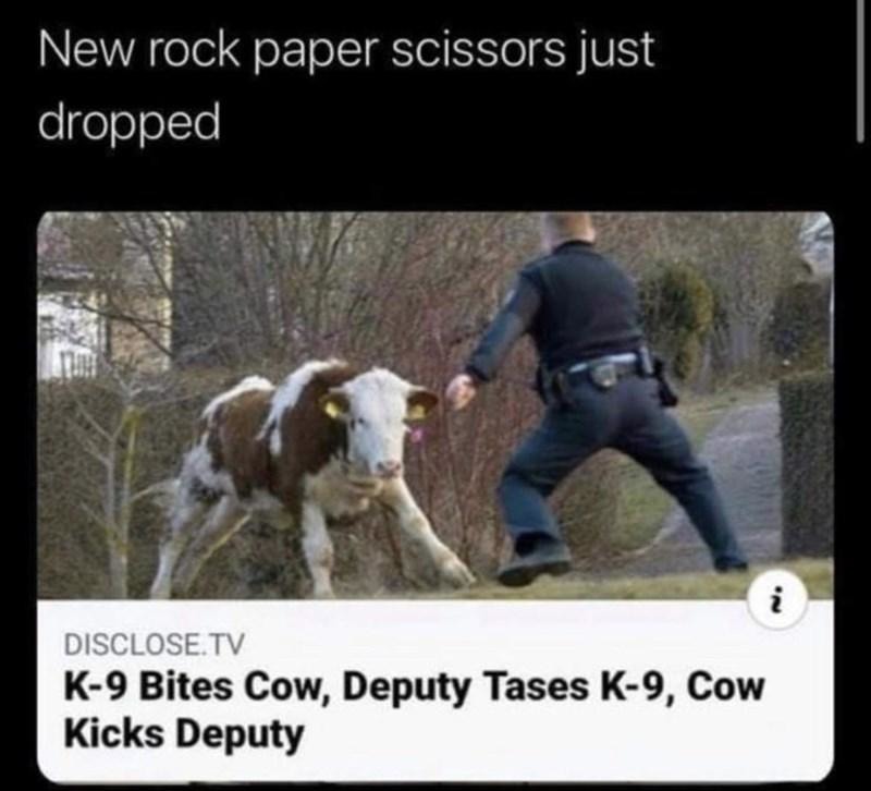 Thin Blue Line - Meme by Dranklestein :) Memedroid