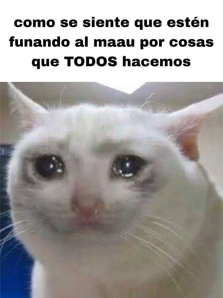 Top memes de MAAU en español :) Memedroid