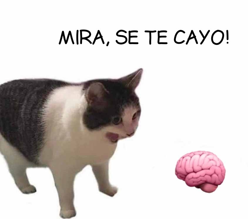 Los Últimos Memes :) Memedroid