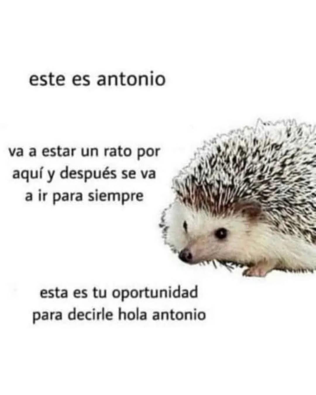 Top memes de Despedida en español :) Memedroid