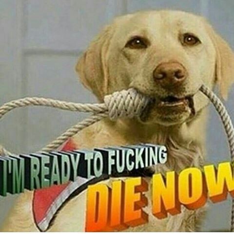 Take me out to the back of the shed - Meme by Peodophilerapist :) Memedroid