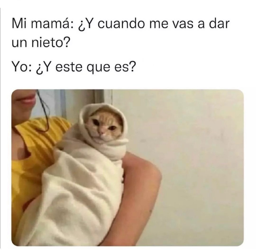 Mejor un gato que un chamaco miado - Meme subido por Bite_Skull_Studios ...