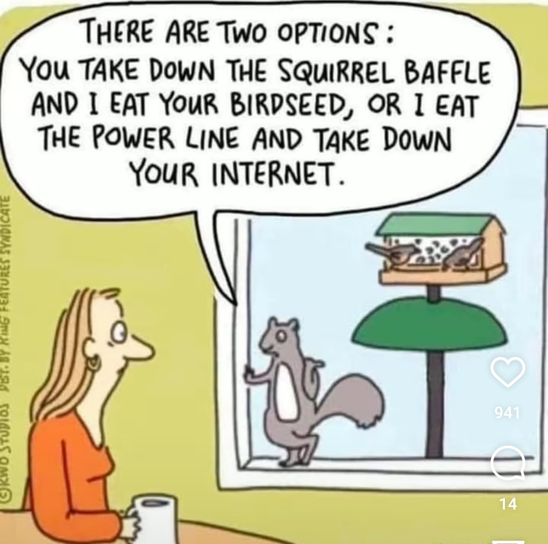 The Latest Memes :) Memedroid