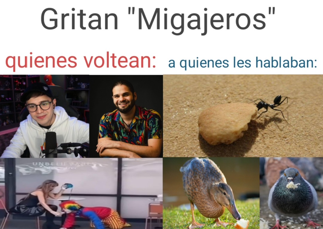 Top memes de Migajas en español :) Memedroid
