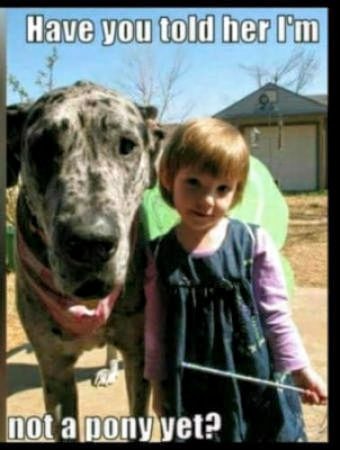 My little pony - Meme by zerocoolduff :) Memedroid