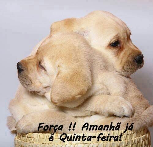 força - Meme by xhsjdmdbzbsnc :) Memedroid