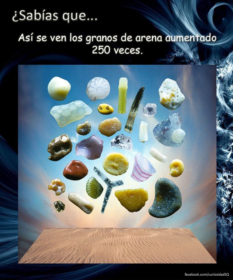 arena - Meme subido por megadeth35 :) Memedroid