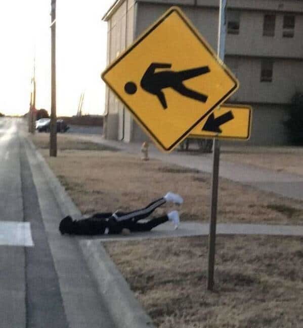 The best Signal memes