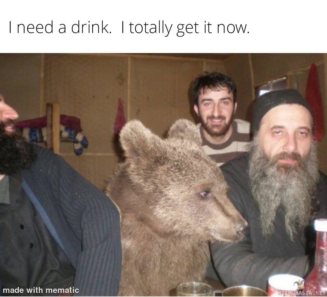 The best Bear memes :) Memedroid