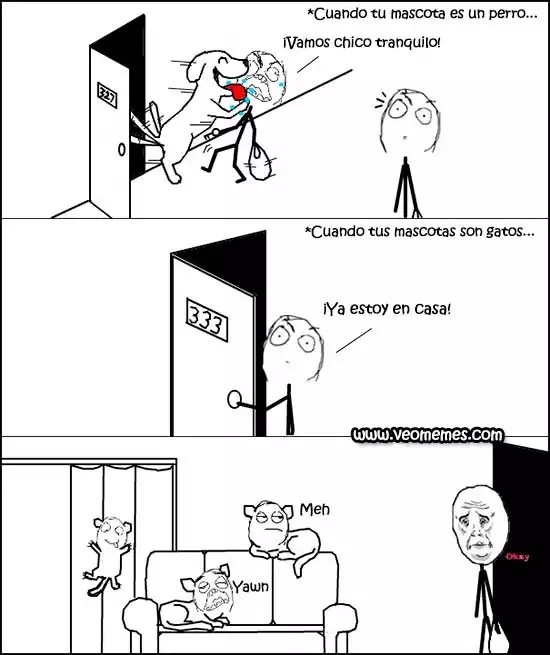 Gatos vs perros. - Meme subido por Dakiro :) Memedroid