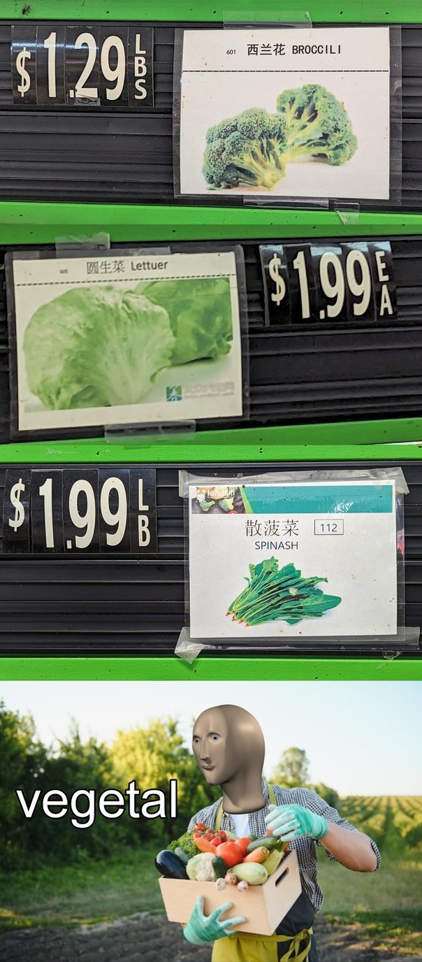 Latest memes / New memes :) Memedroid