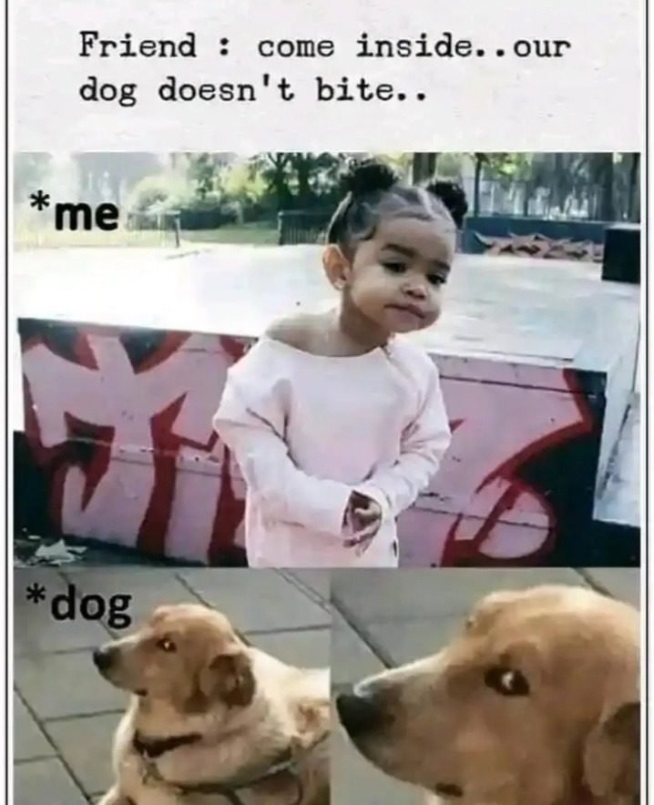 The best Memedroid memes :) Memedroid