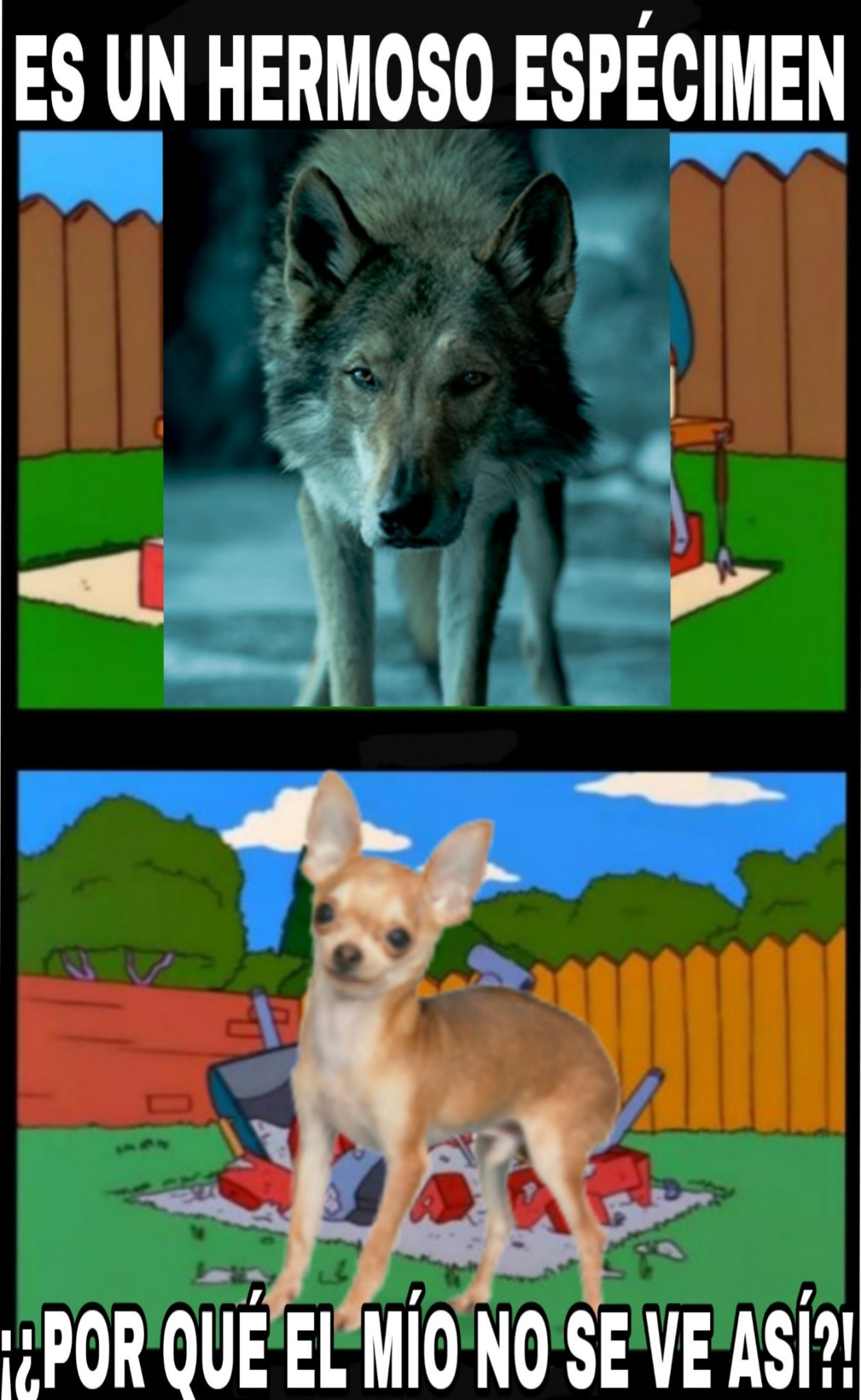 Es de la película Alpha. La recomiendo ^^ - Meme subido por Mariorks ...