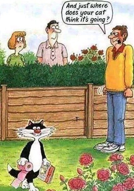 Outdoor - Meme by kbrown4432 :) Memedroid