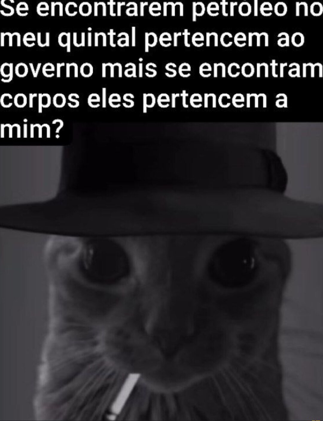 The Latest Memes :) Memedroid