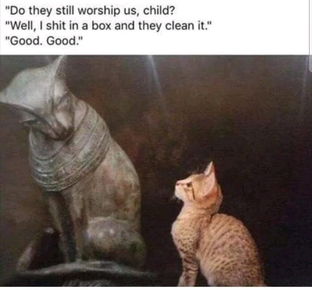 Nothing changes... - Meme subido por Elle1906 :) Memedroid