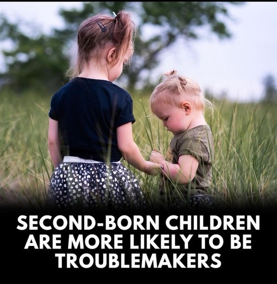 Latest memes / New memes :) Memedroid