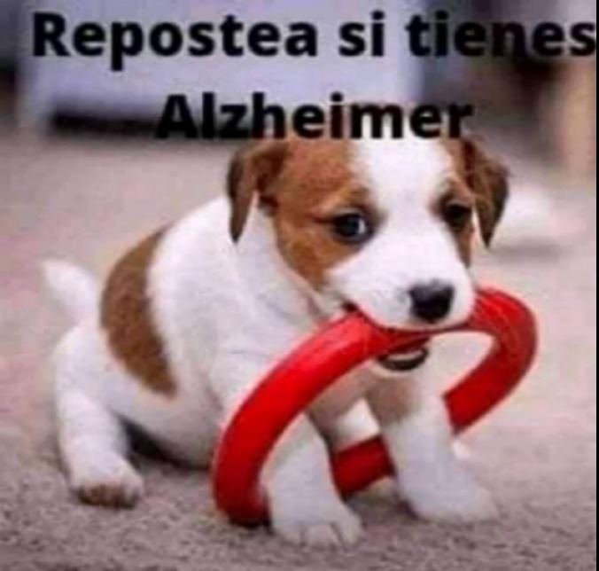 Alzheimer :) Memedroid