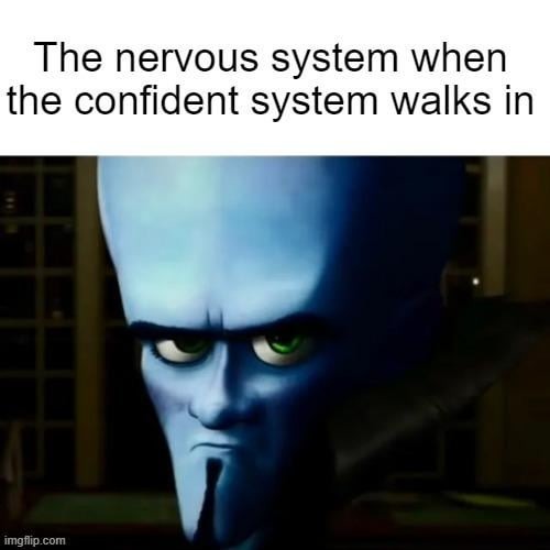 Nervous System Memes When I Thought Of This I Was Going To Share It As