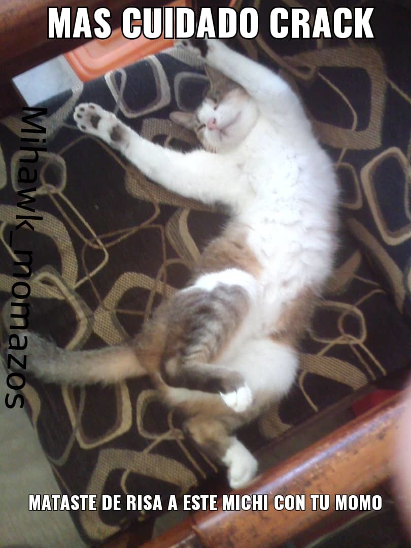 noo autor del meme de la izquierda/arriba pq matastes de risa a mi ...