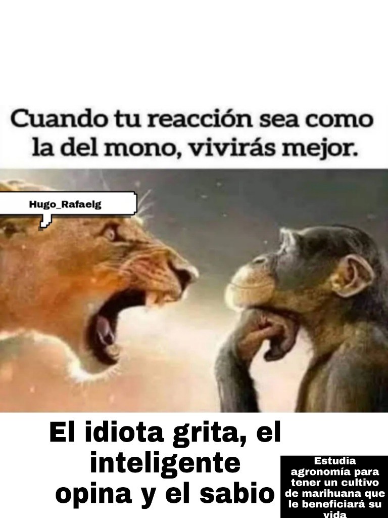 Mono - Meme subido por Hugo_Rafaelg :) Memedroid